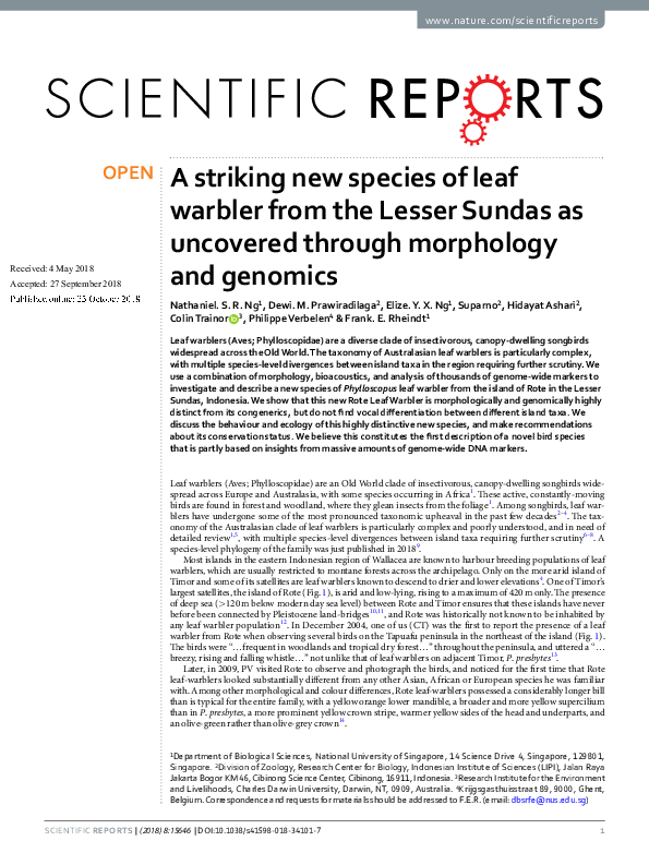 (PDF) A striking new species of leaf warbler from the Lesser Sundas as ...