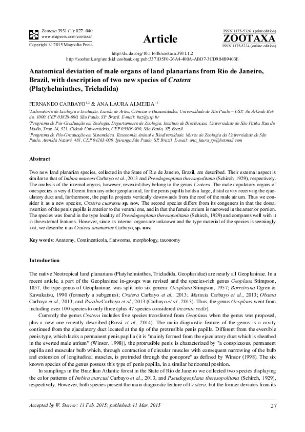 (PDF) Anatomical deviation of male organs of land planarians from Rio ...