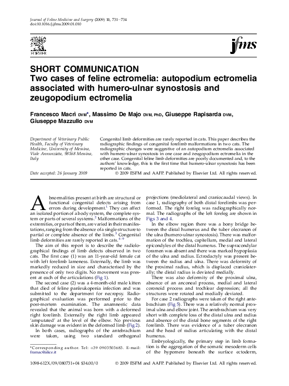 (PDF) Two cases of feline ectromelia: autopodium ectromelia associated ...