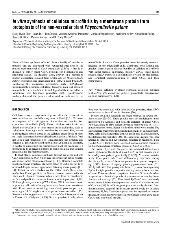 (PDF) In Vitro Synthesis of Cellulose Microfibrils by Detergent ...