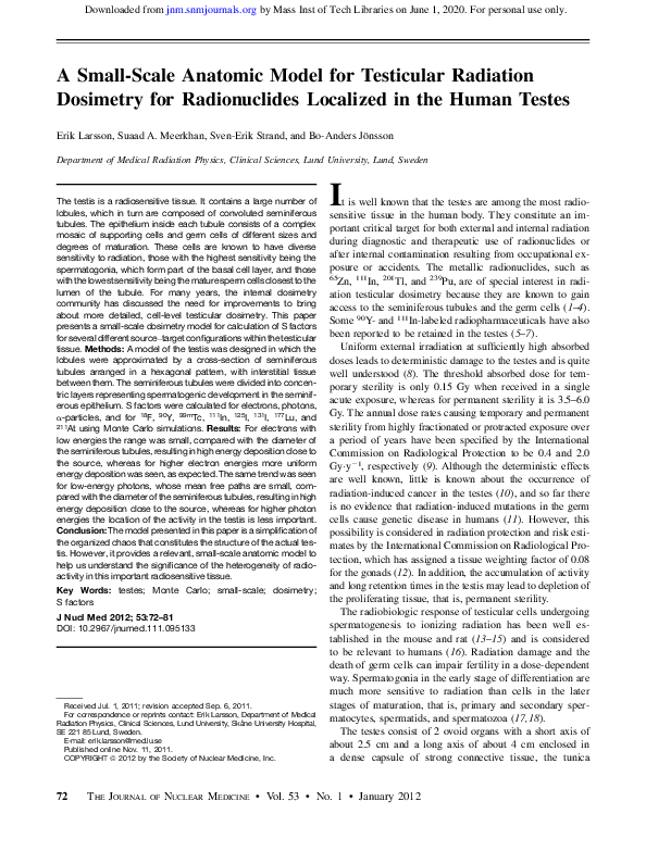 (PDF) A Small-Scale Anatomic Model for Testicular Radiation Dosimetry ...