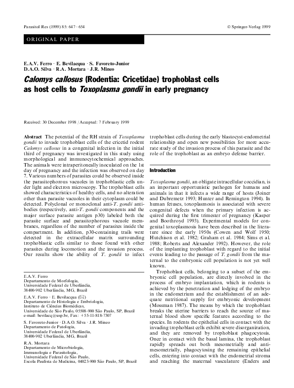 (PDF) Calomys callosus (Rodentia: Cricetidae) trophoblast cells as host ...