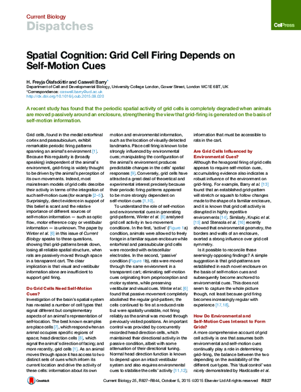 Pdf Spatial Cognition Grid Cell Firing Depends On Self Motion Cues 1408