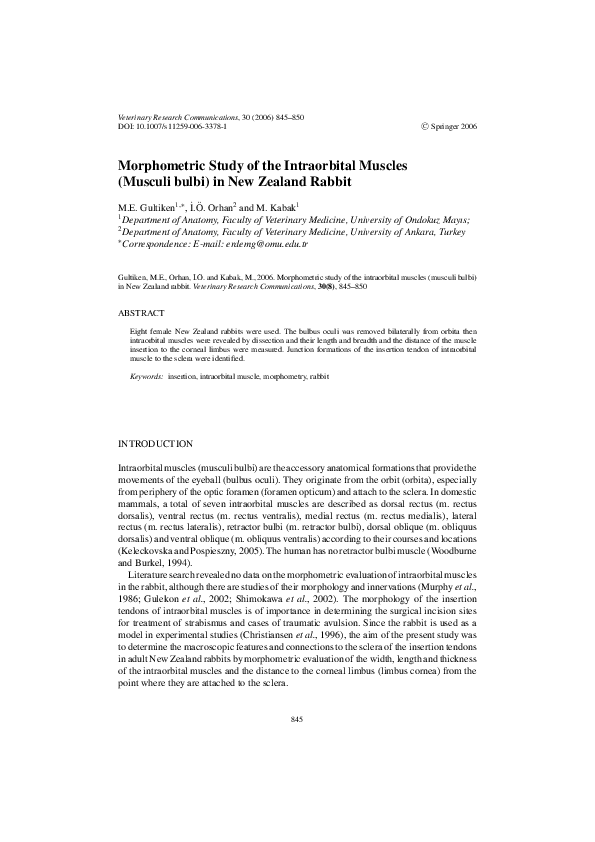 (PDF) Morphometric Study of the Intraorbital Muscles (Musculi bulbi) in ...