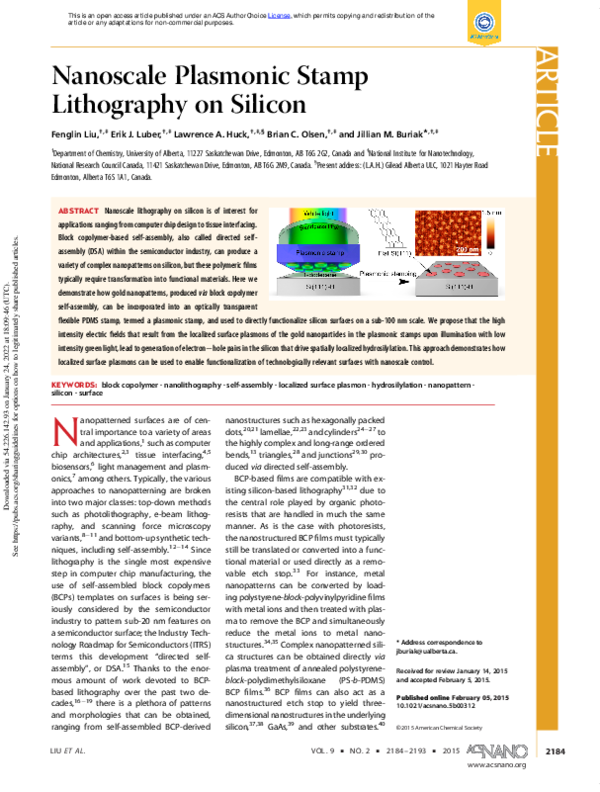 (PDF) Nanoscale plasmonic stamp lithography on silicon