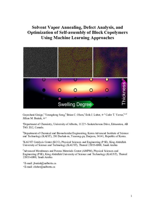 (PDF) Solvent Vapor Annealing, Defect Analysis, and Optimization of Self-Assembly of Block ...