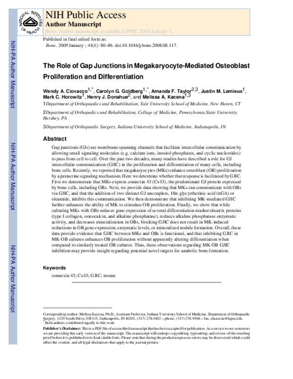 (PDF) The role of gap junctions in megakaryocyte-mediated osteoblast ...