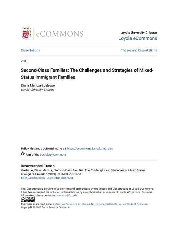 (PDF) Second-Class Families: The Challenges and Strategies of Mixed ...