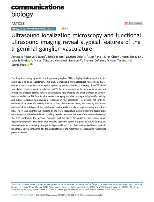 (PDF) Ultrasound localization microscopy and functional ultrasound ...