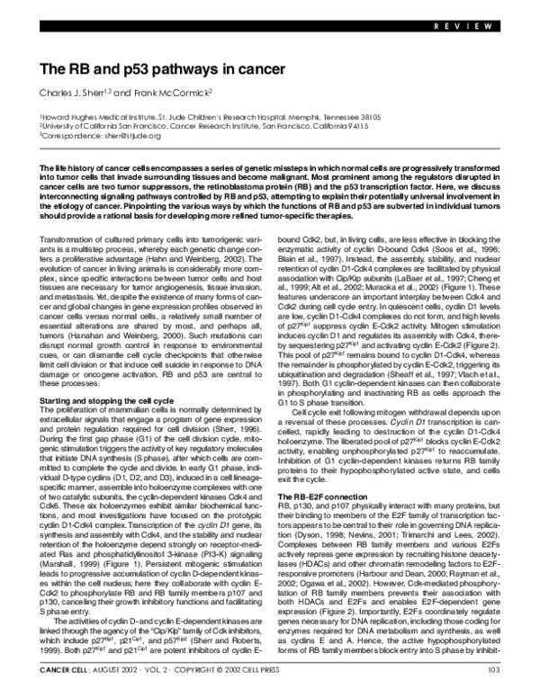 (PDF) The RB and p53 pathways in cancer