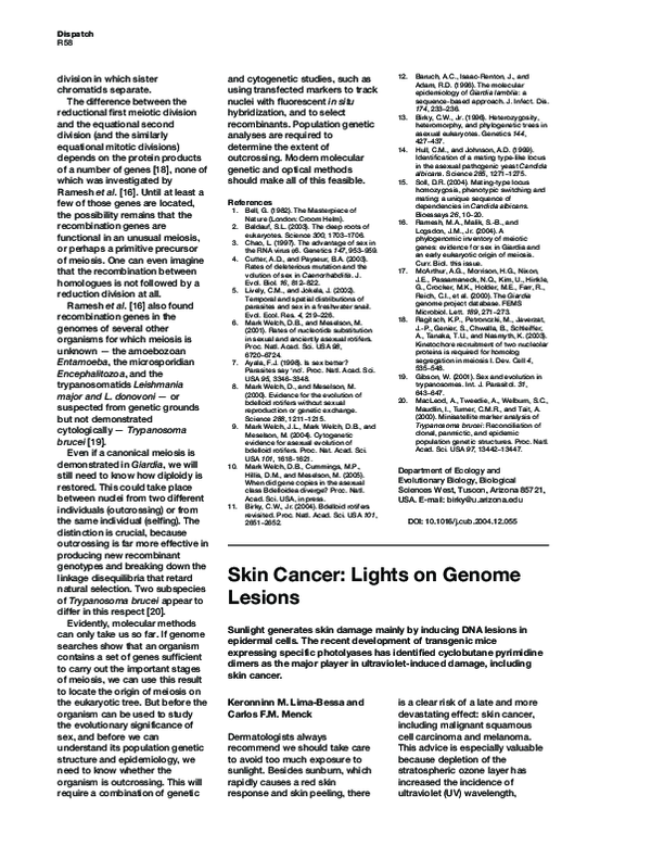 (PDF) Skin Cancer: Lights on Genome Lesions