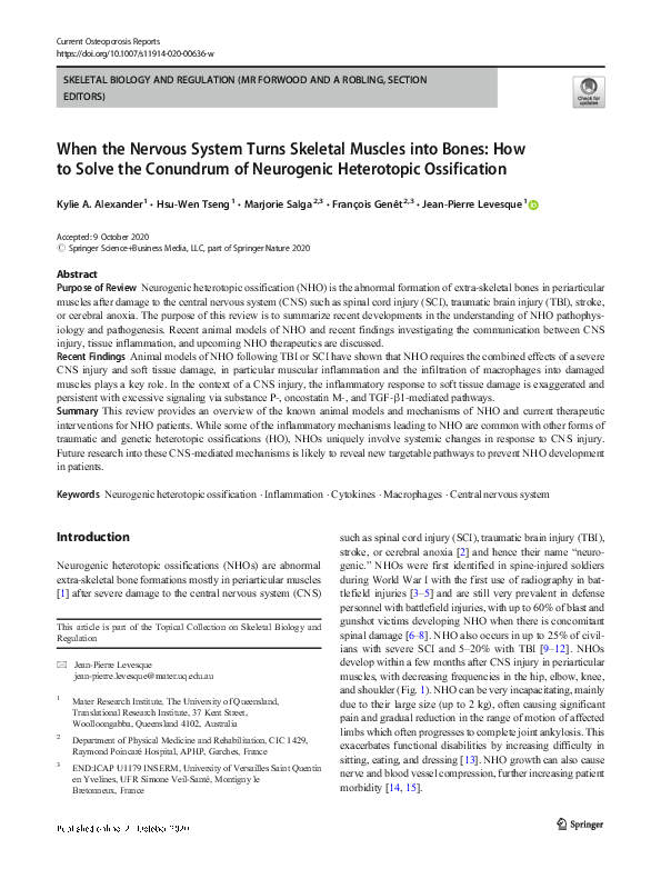 (PDF) When the Nervous System Turns Skeletal Muscles into Bones: How to ...