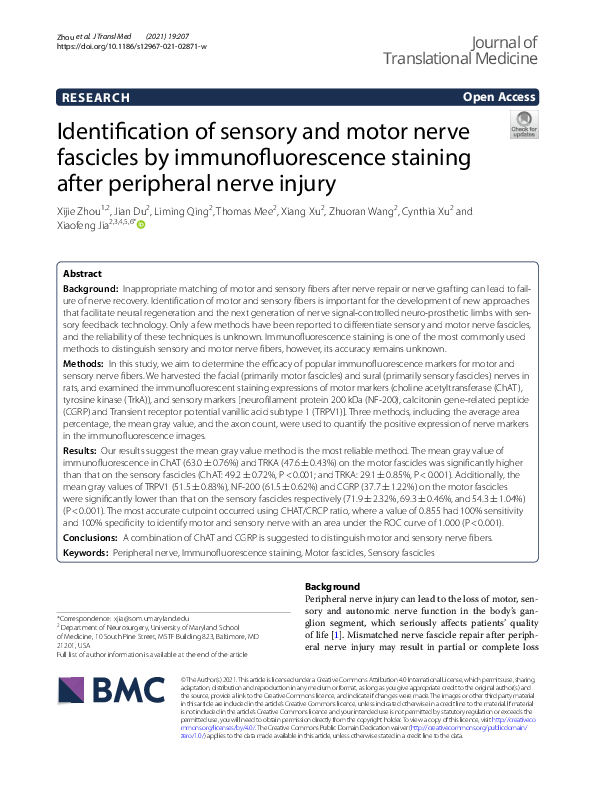 (PDF) Identification of sensory and motor nerve fascicles by ...