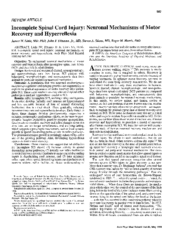 (PDF) Incomplete spinal cord injury: Neuronal mechanisms of motor ...