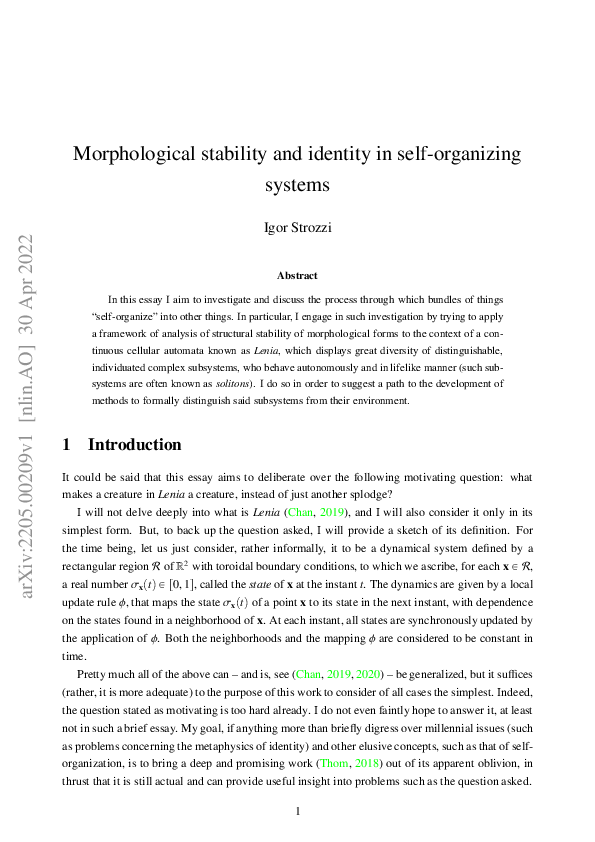 (PDF) Self-Organization and Morphological Stability