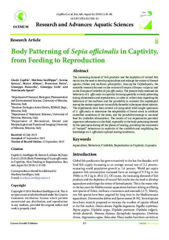 (PDF) Body Patterning of Sepia officinalis in Captivity, from Feeding ...