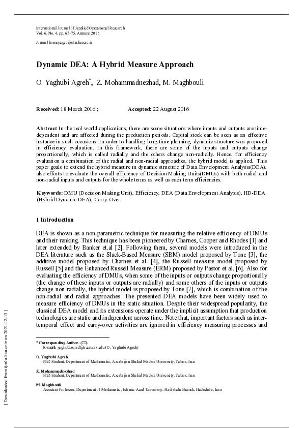 (PDF) Dynamic DEA: A Hybrid Measure Approach