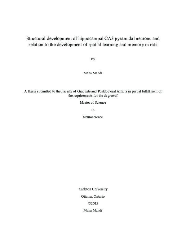 (PDF) Structural Development of Hippocampal CA3 Pyramidal Neurons and Relation to the ...