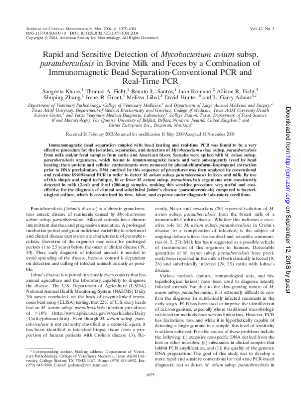 (PDF) Rapid and Sensitive Detection of Mycobacterium avium subsp ...