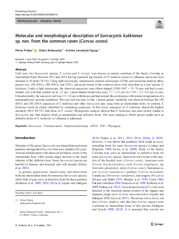 (PDF) Molecular and morphological description of Sarcocystis kutkienae ...