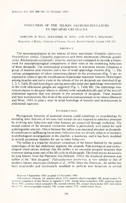(PDF) Evolution of the Telson Neuromusculature in Decapod Crustacea