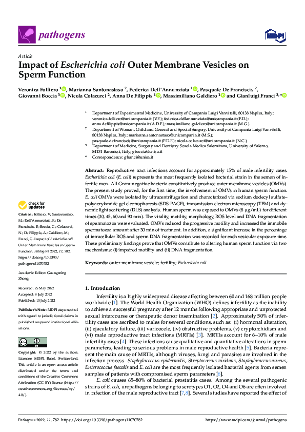 (PDF) Impact of Escherichia coli Outer Membrane Vesicles on Sperm Function