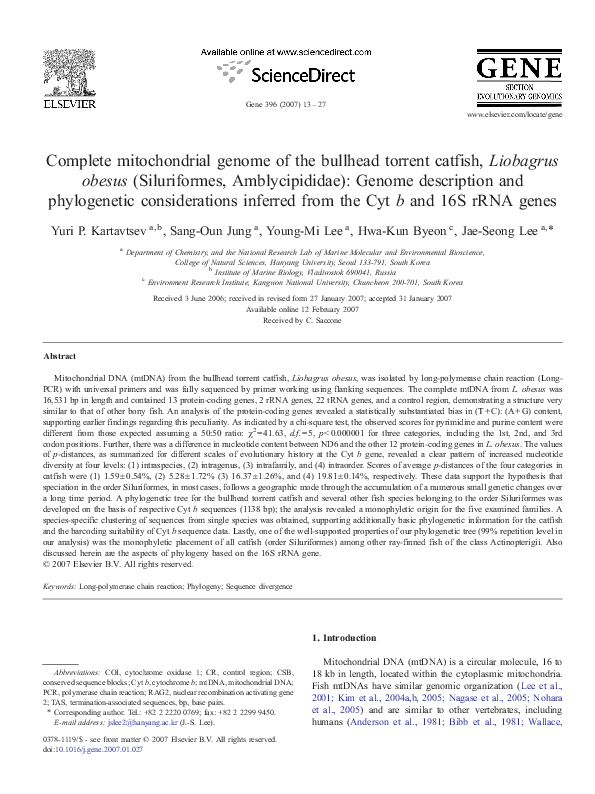 (PDF) Complete mitochondrial genome of the bullhead torrent catfish ...