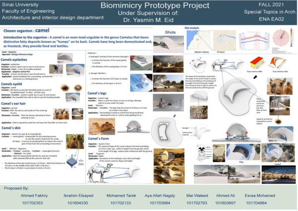 (PDF) Dromedary Camel Form As An Efficient Design for Buildings in Desert