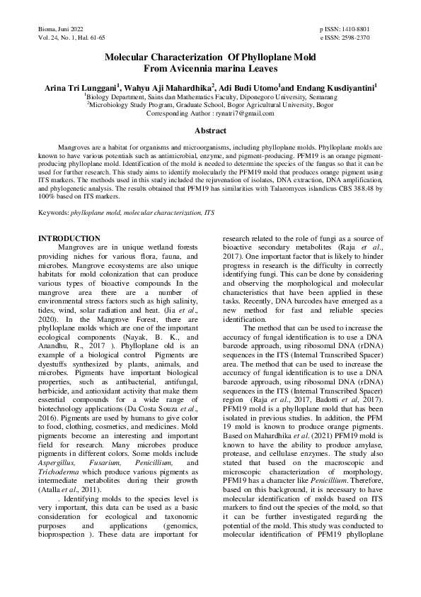 (PDF) Molecular Characterization Of Phylloplane Mold From Avicennia ...