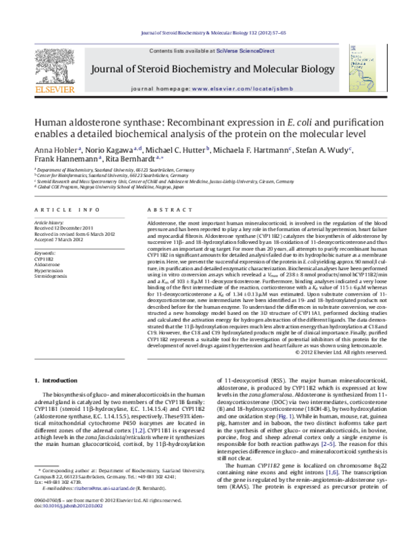 (PDF) Human aldosterone synthase: recombinant expression in E. coli and purification enables a ...