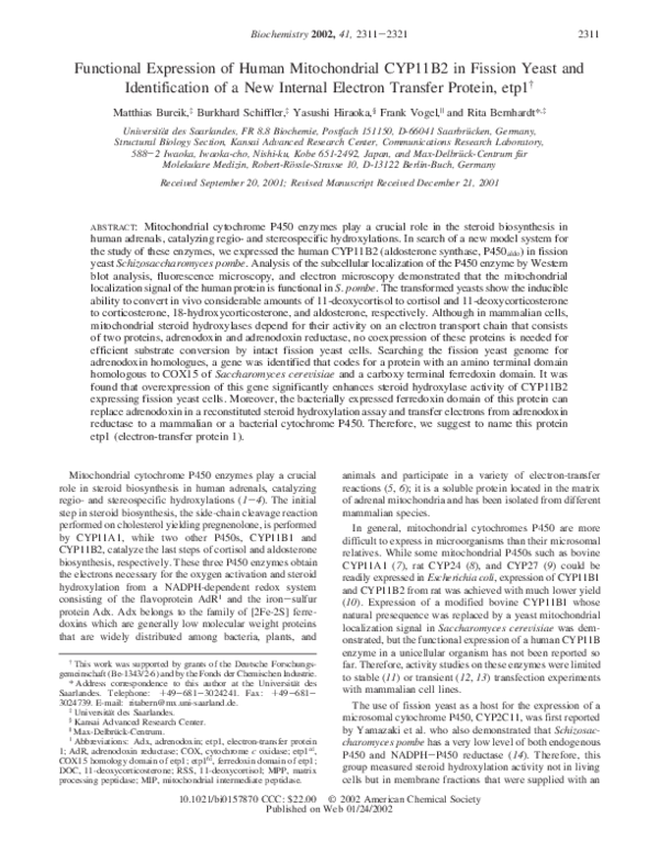 (PDF) Functional Expression of Human Mitochondrial CYP11B2 in Fission ...