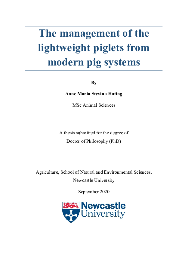 (PDF) The management of the lightweight piglets from modern pig systems