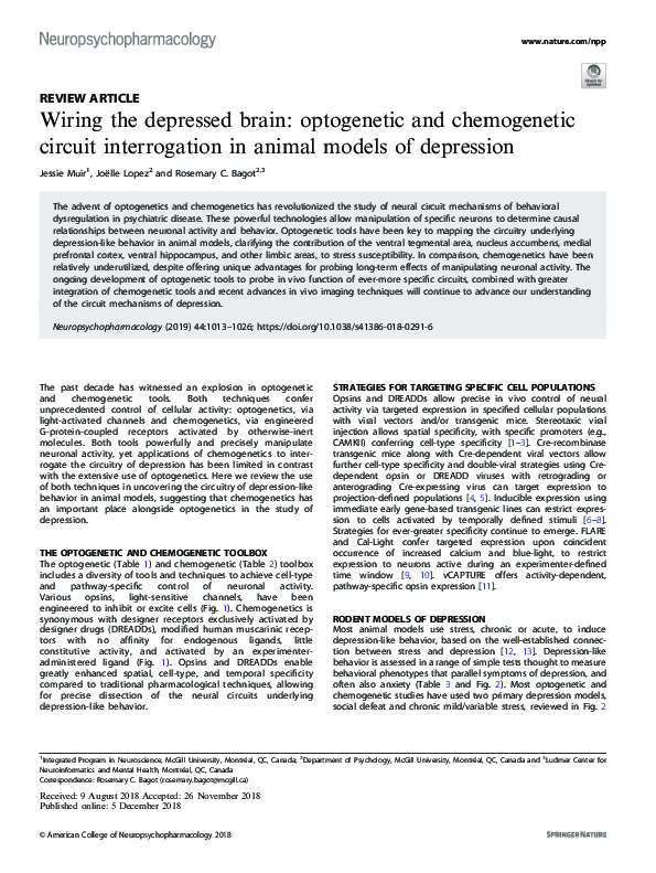 (PDF) Wiring the depressed brain: optogenetic and chemogenetic circuit ...