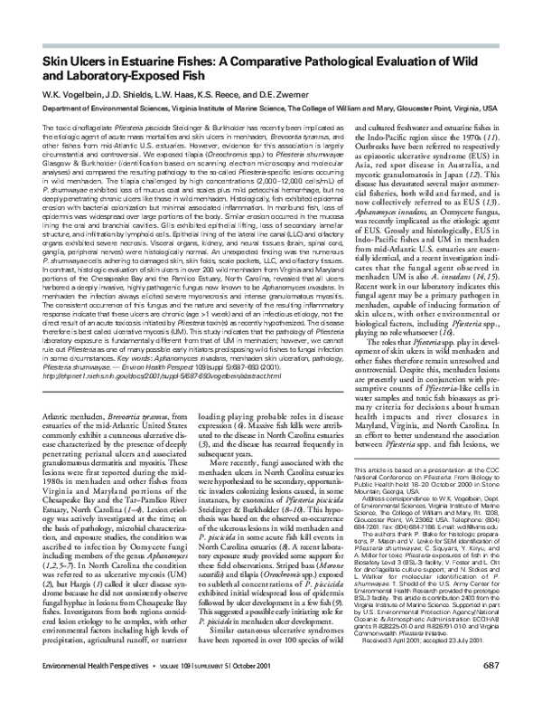 (PDF) Skin Ulcers in Estuarine Fishes: A Comparative Pathological ...