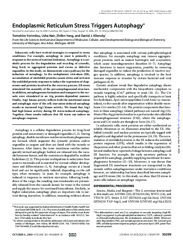 (PDF) Endoplasmic Reticulum Stress Triggers Autophagy