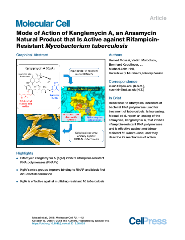(PDF) Mode of Action of Kanglemycin A, an Ansamycin Natural Product ...