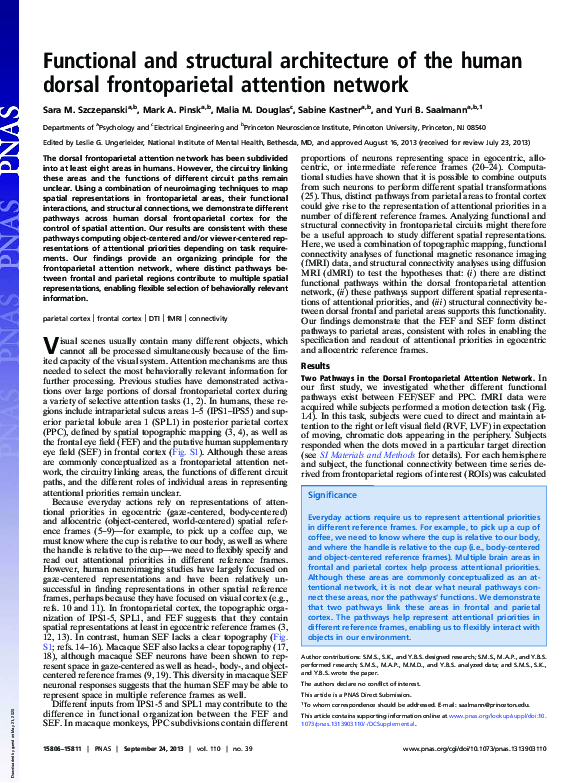 (PDF) Functional and structural architecture of the human dorsal frontoparietal attention network