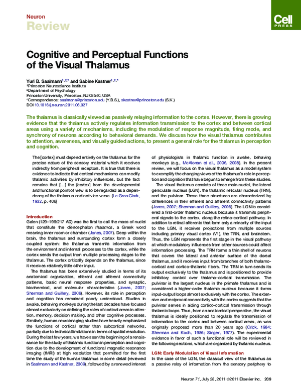 (PDF) Cognitive and Perceptual Functions of the Visual Thalamus