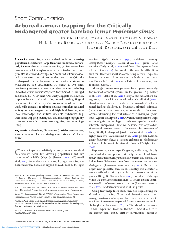 (PDF) Arboreal camera trapping for the Critically Endangered greater ...