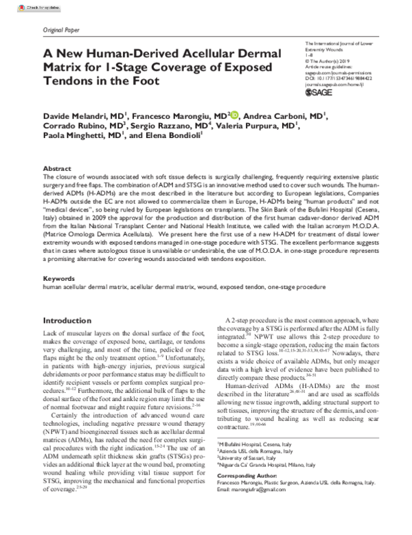 (PDF) A New Human-Derived Acellular Dermal Matrix for 1-Stage Coverage ...