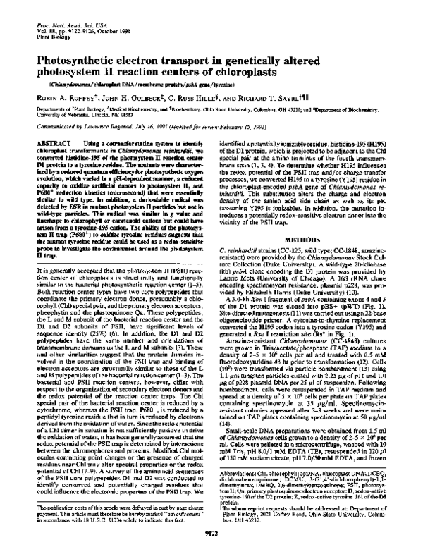 (PDF) Photosynthetic electron transport in genetically altered ...
