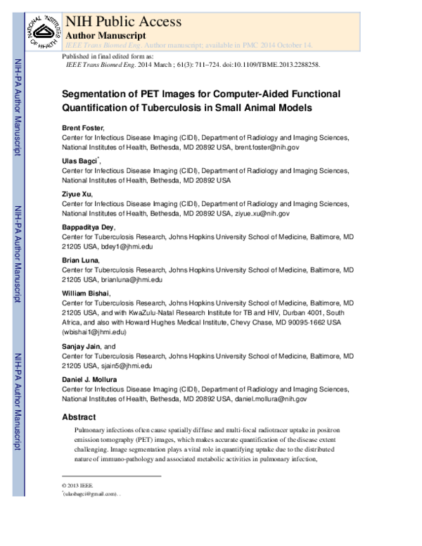 (PDF) Segmentation of PET Images for Computer-Aided Functional ...
