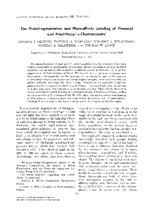 (PDF) The photofragmentation and photoaffinity labeling of phenacyl and ...