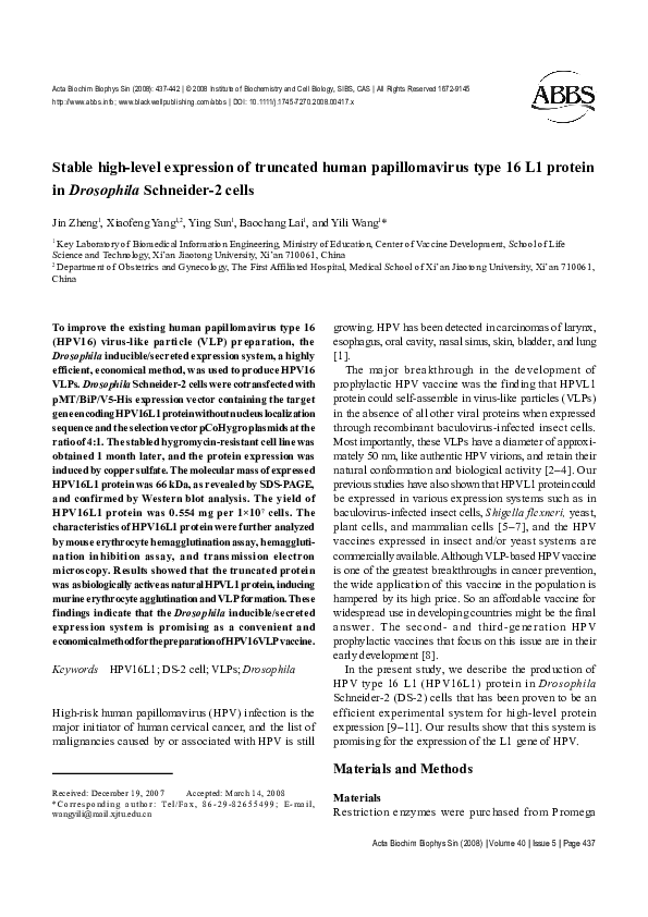 (PDF) Stable high-level expression of truncated human papillomavirus type 16 L1 protein in ...