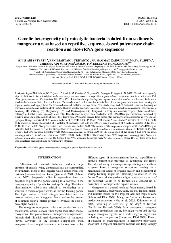 (PDF) Genetic heterogeneity of proteolytic bacteria isolated from sediments mangrove areas based ...