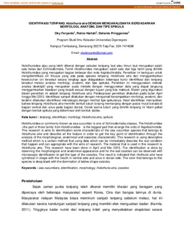 (PDF) IDENTIFIKASI TERIPANG Holothuria atra DENGAN MENGANALISANYA ...