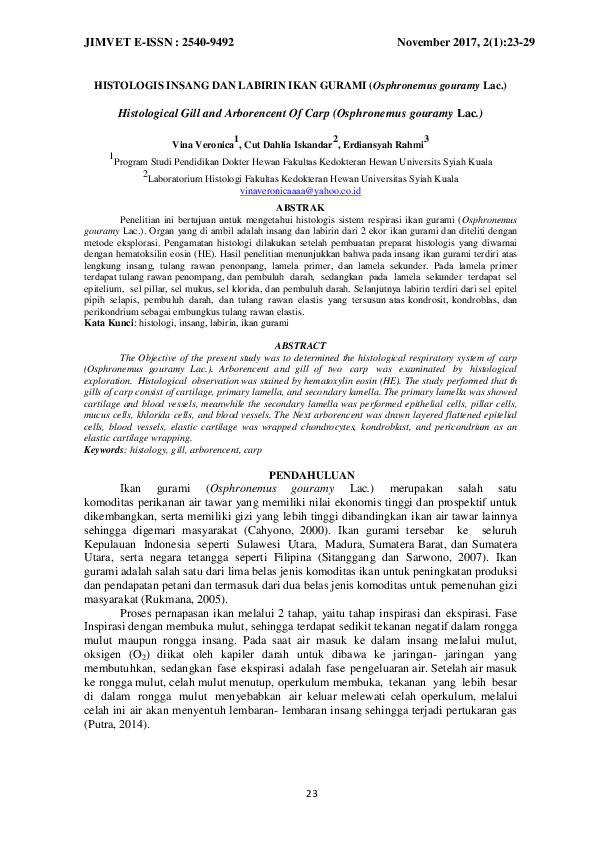 (PDF) HISTOLOGIS INSANG DAN LABIRIN IKAN GURAMI (Osphronemus gouramy ...
