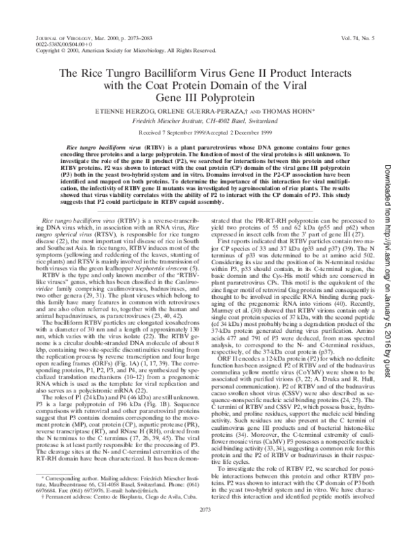 (PDF) The Rice Tungro Bacilliform Virus Gene II Product Interacts with ...