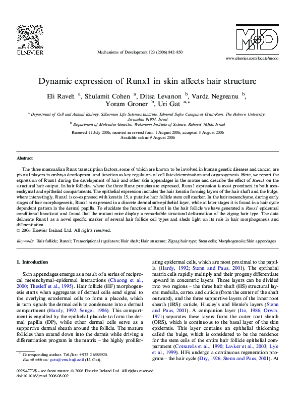 (PDF) Dynamic expression of Runx1 in skin affects hair structure