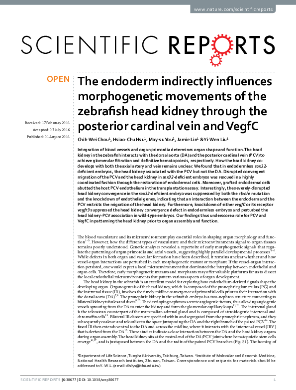 (PDF) The endoderm indirectly influences morphogenetic movements of the ...